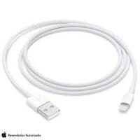 CABO LIGHTNING (IPHONE) X USB 2,4A / 5V 1,2M DCB-20 - Play Informática ...